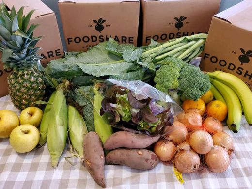 Gleaning Program, FoodShare Spartanburg, Fresh Food Box Program | Ruth ...