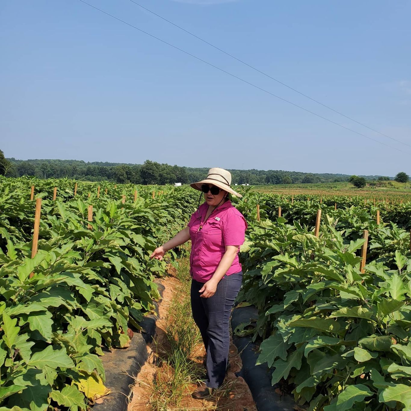 Food Rescue, Reclaiming Food, Food Distribution Partners, Food Donors ...